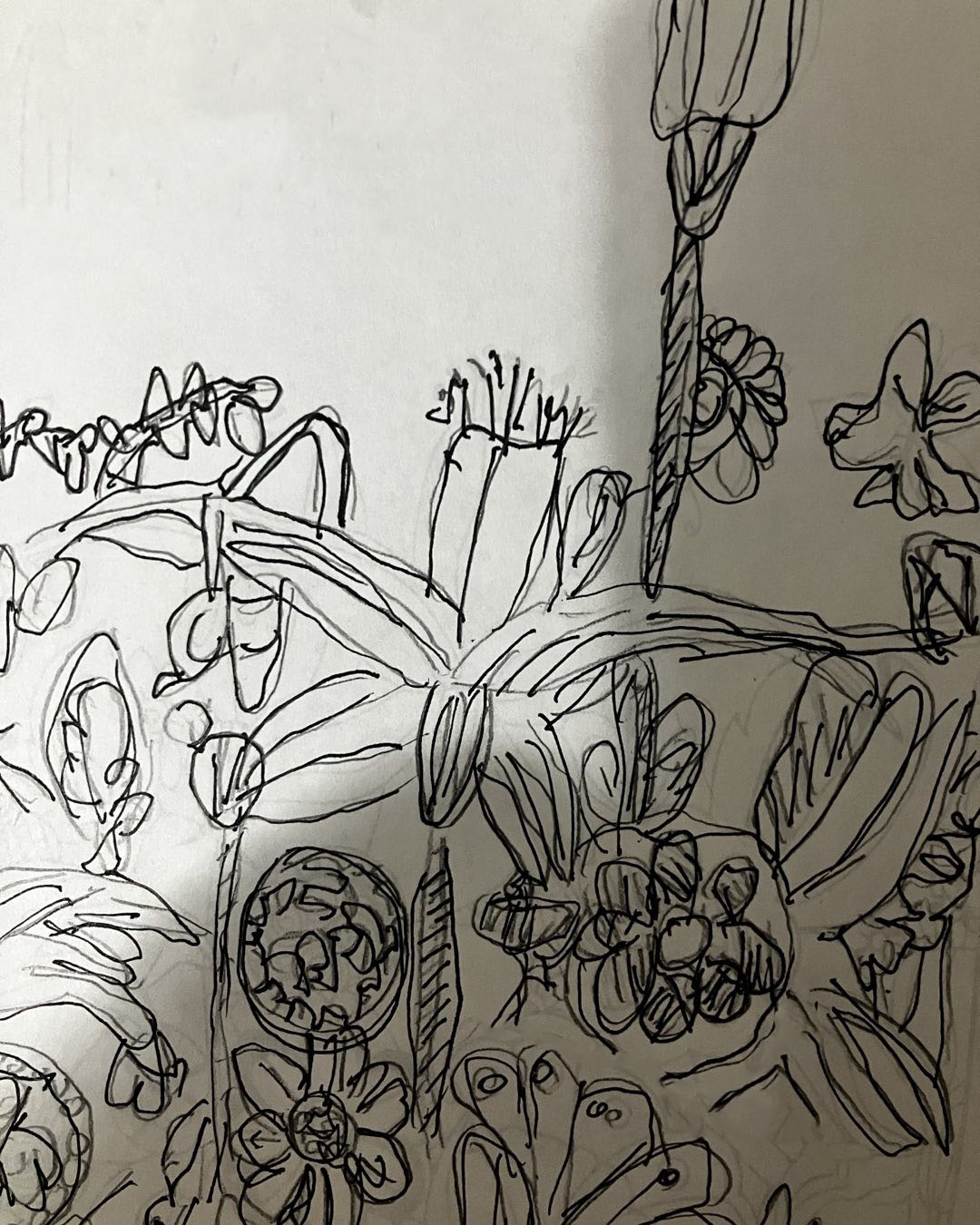 Pen and Ink Landscapes – Art and Education 101